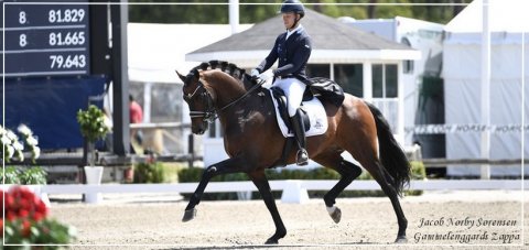 Front page - SD Design Aps