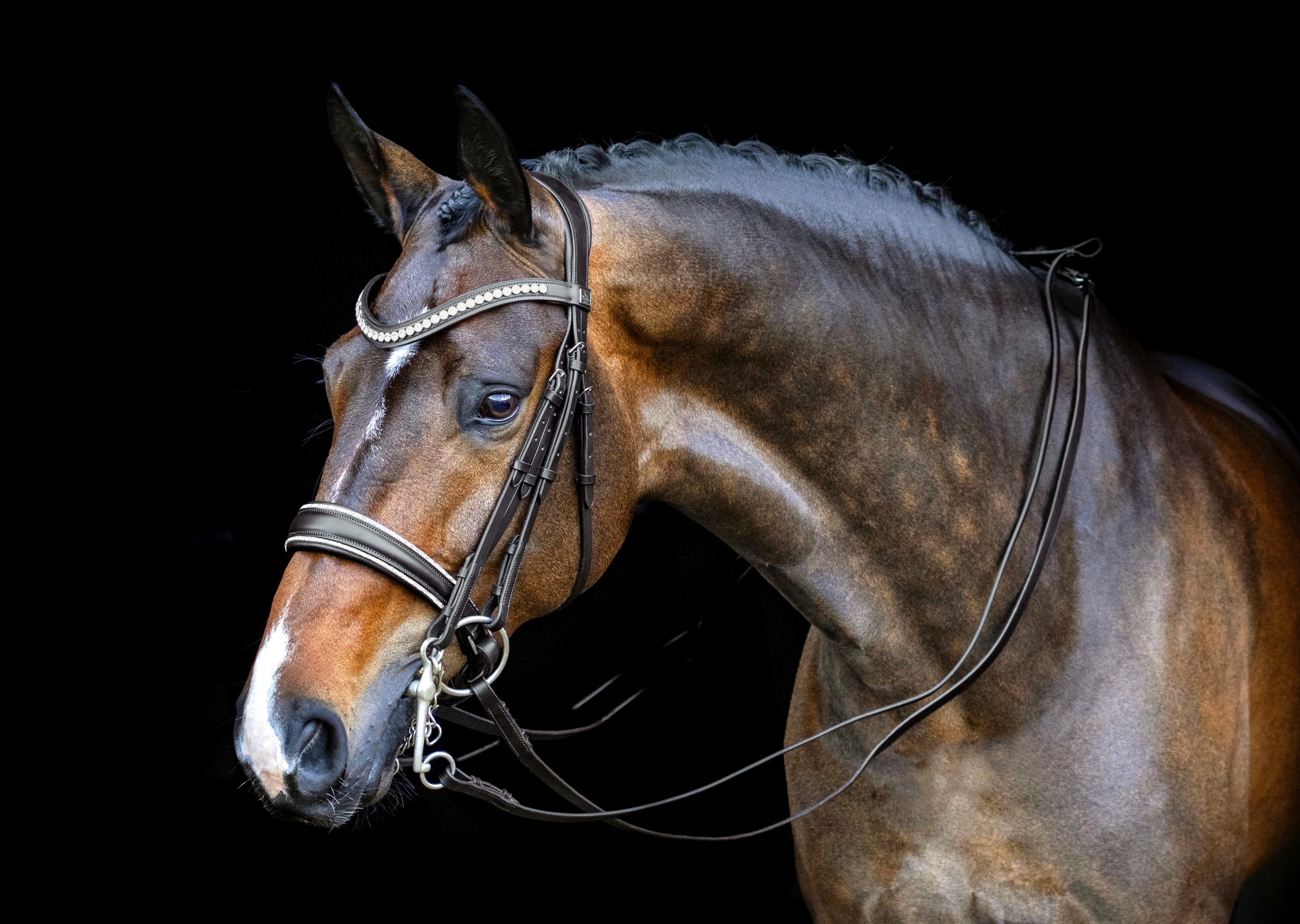 SD® Celebrity Double Bridle. Crystal Rocks. BL/BL. R-863 - SD® Double ...